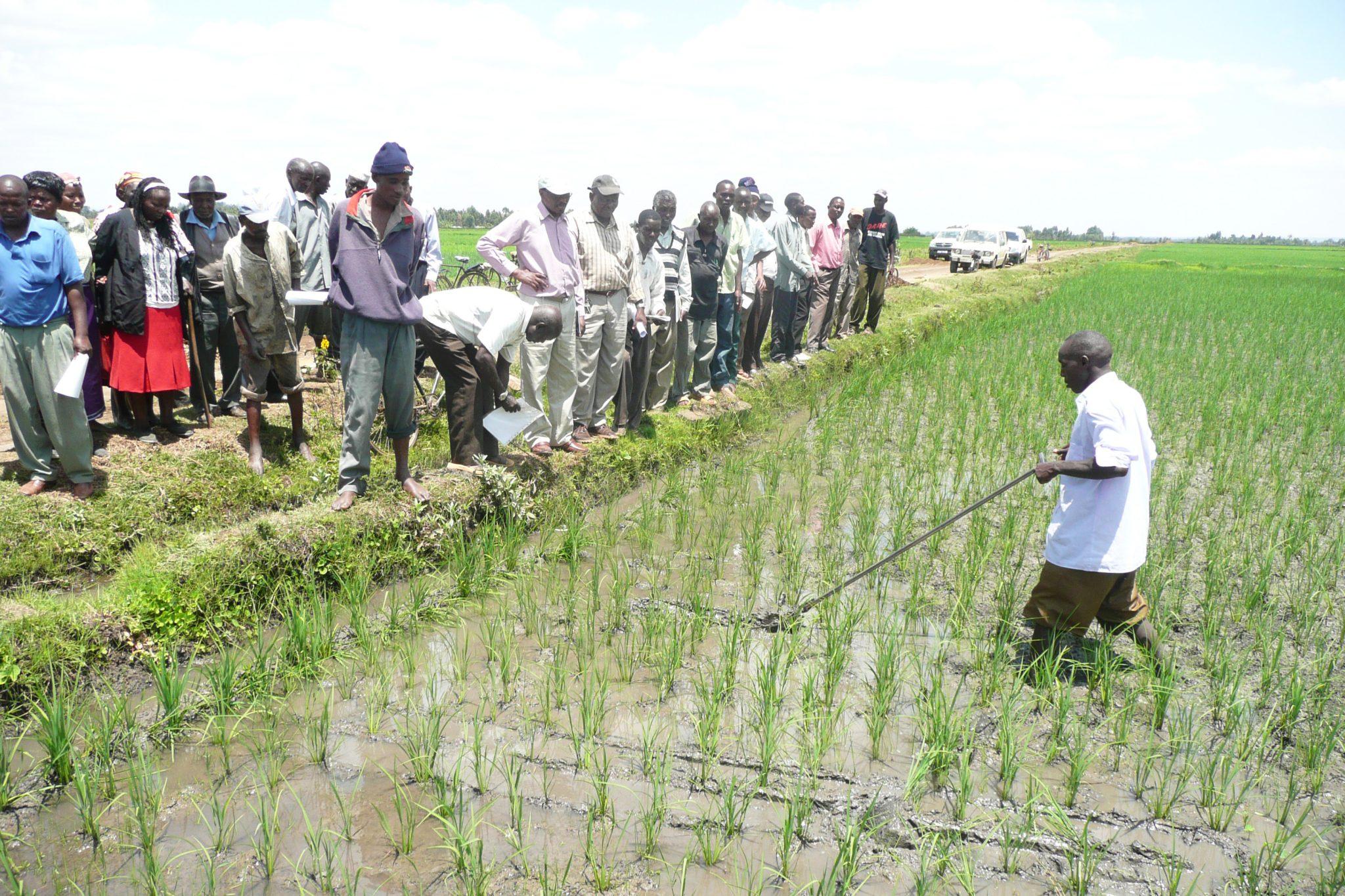 Research & Development - AFRICAN INSTITUTE FOR CAPACITY DEVELOPMENT (AICAD)